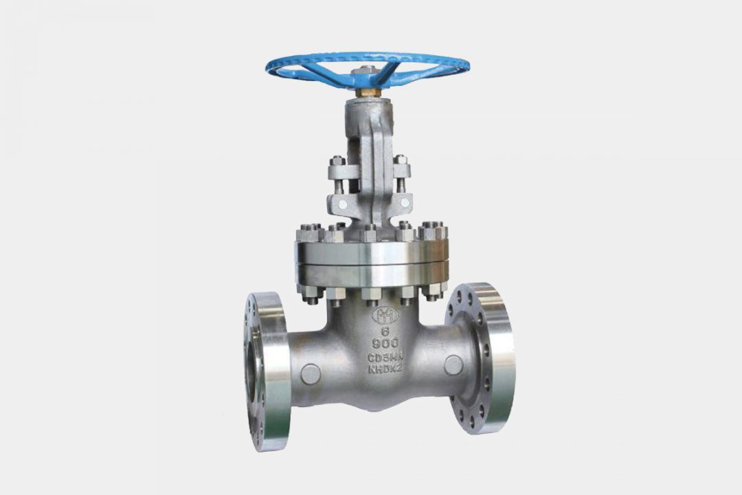 Hanyoung Alloy Gate Valve - RazValve Pacific