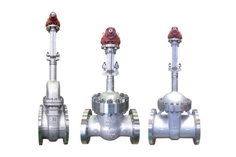 Hanyoung Cryogenic Gate Valves - RazValve Pacific